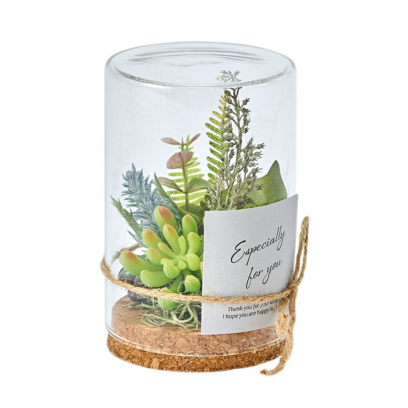 ◆サイズ◆約直径7.5×高さ12cmアレンジメントフラワー多肉ガラスシリンダーM◆材　質◆ガラス製アーティフィシャルフラワーはお水のいらない枯れないお花。いつもの場所をいつも素敵に。人気のガラスシリンダーに多肉植物を合わせました。オリジナル...