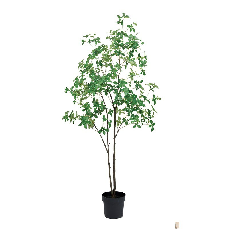 ◆サイズ◆約幅80×高さ170cm鉢サイズ：直径20.5×高さ19.5cm人工観葉植物ドウダンブランチポット◆材　質◆再生PET由来ポリエステル重　量：約4kg◆鉢材料◆再生ポリプロピレン配合用途により、お手持ちか別売りのポットカバーをご使...