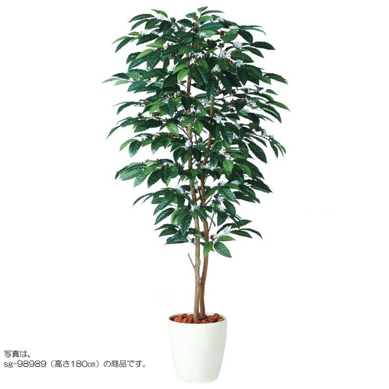 ◆サイズ◆約幅80×奥行80×高さ150cm器サイズ：直径26.6×高さ28.8cm（底直径17cm）人工観葉植物コーヒーデュアル150 ポット付き ◆素　材◆自然木（国産）器（ポット）ラスターポット RP-265材質：ポリプロピレン製パー...