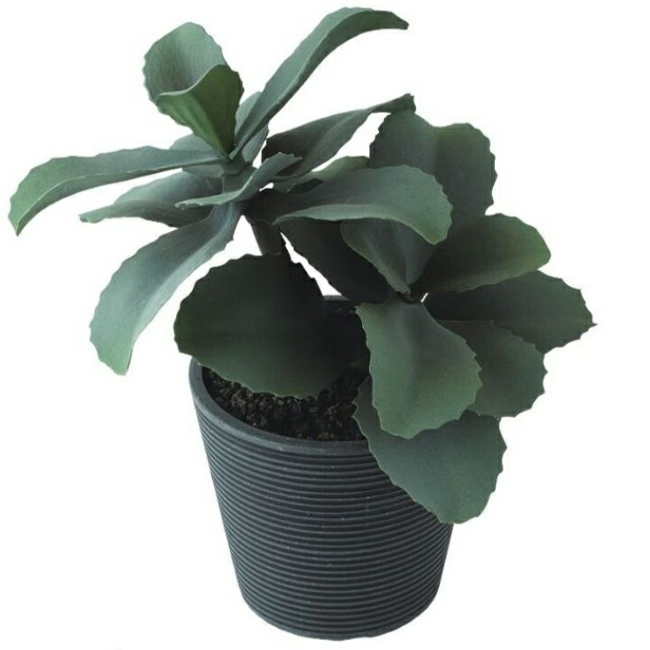 ◆サイズ◆約幅25×奥行20×高さ30cm器サイズ：直径14×高さ12cm（底直径9.8cm）人工観葉植物ジェイドプラントポット ポット付き ◆素　材◆葉：ポリエチレン製（フロッキー）器（ポット）MP-14（DG）材質：ポリエチレン製サンド...