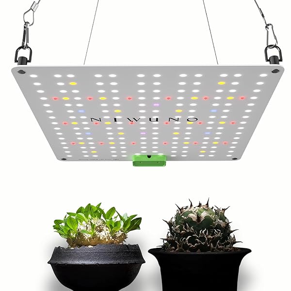 植物育成ライト パネル式 LEDライト UVa+IR 観葉植物/アガベ/塊根/水槽/多肉植物/ビカクシダ/アクアリウム （Aurora Q-Pad,5500K,45W,1枚入）ブランド色5500K-Pack of 1モデルAurora Q-...