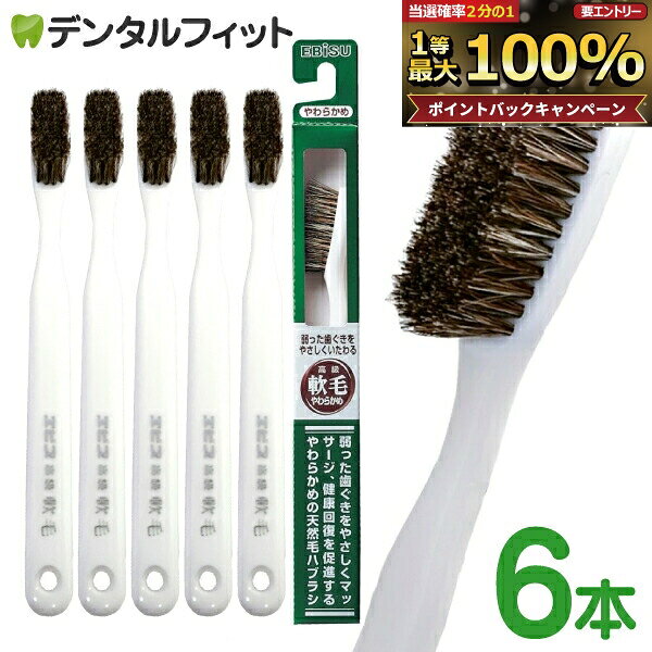 毛そのものが摩耗するので、歯面のエナメル質を傷つけにくい天然毛のハブラシです。 歯グキをやさしくいたわる 良質の輸入天然毛を使用しているので、やわらかく、弱った歯グキをやさしくケアします。 カーブ植毛 歯面に沿うように、ゆるやかにカーブした...