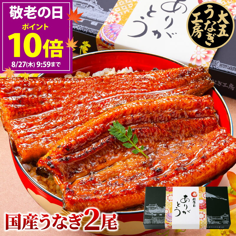 商品区分 うなぎ モンドセレクション金賞 大五のうなぎ 名称 長蒲焼2尾セット 原材料 うなぎ（国産・ニホンウナギ）、しょうゆ（小麦・大豆を含む）、みりん、発酵調味料、砂糖／増粘剤（加工でん粉） 内容量 ・長蒲焼（約120g）×2尾 ・タレ...