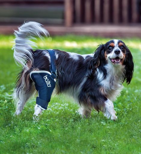 本体サイズ(幅X奥行X高さ):36.5x4x17cm 本体重量:0.167kg