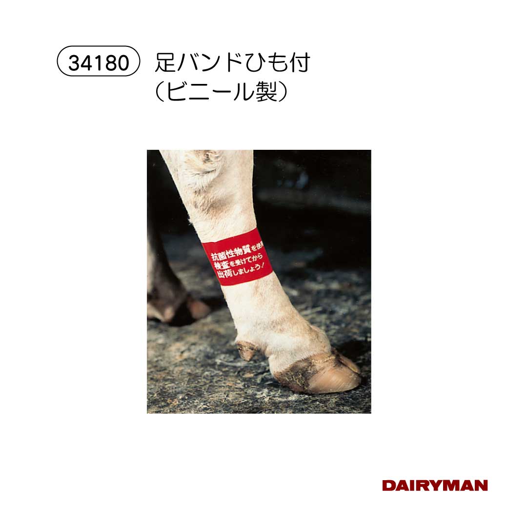 ビニール製の足バンドです。 抗生物質混入乳の出荷防止にご利用ください。 長さ：29cm 幅：7.5cm ■当店では、牛・馬・羊などの産業動物の飼育・健康管理に必要な、プロ仕様の用具を取り扱っています 牛全般: 牛全般：乳牛、成牛、子牛、仔牛...