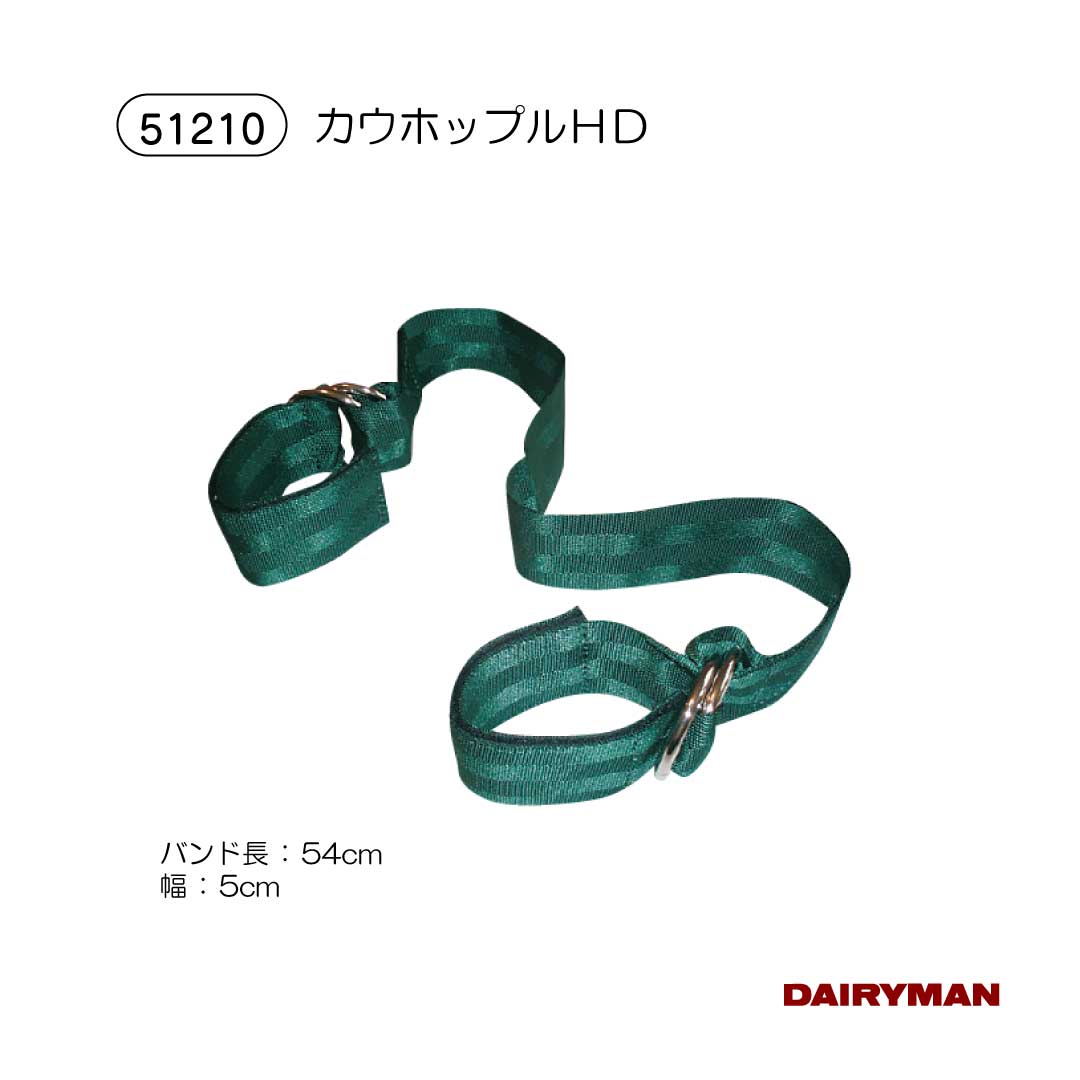 バンド長：54cm、幅：5cm ■当店では、牛・馬・羊などの産業動物の飼育・健康管理に必要な、プロ仕様の用具を取り扱っています 牛全般: 牛全般：乳牛、成牛、子牛、仔牛、離乳、育成、肥育、繁殖、乾乳、素牛、保留牛、未経産牛、分娩牛、廃用牛、...