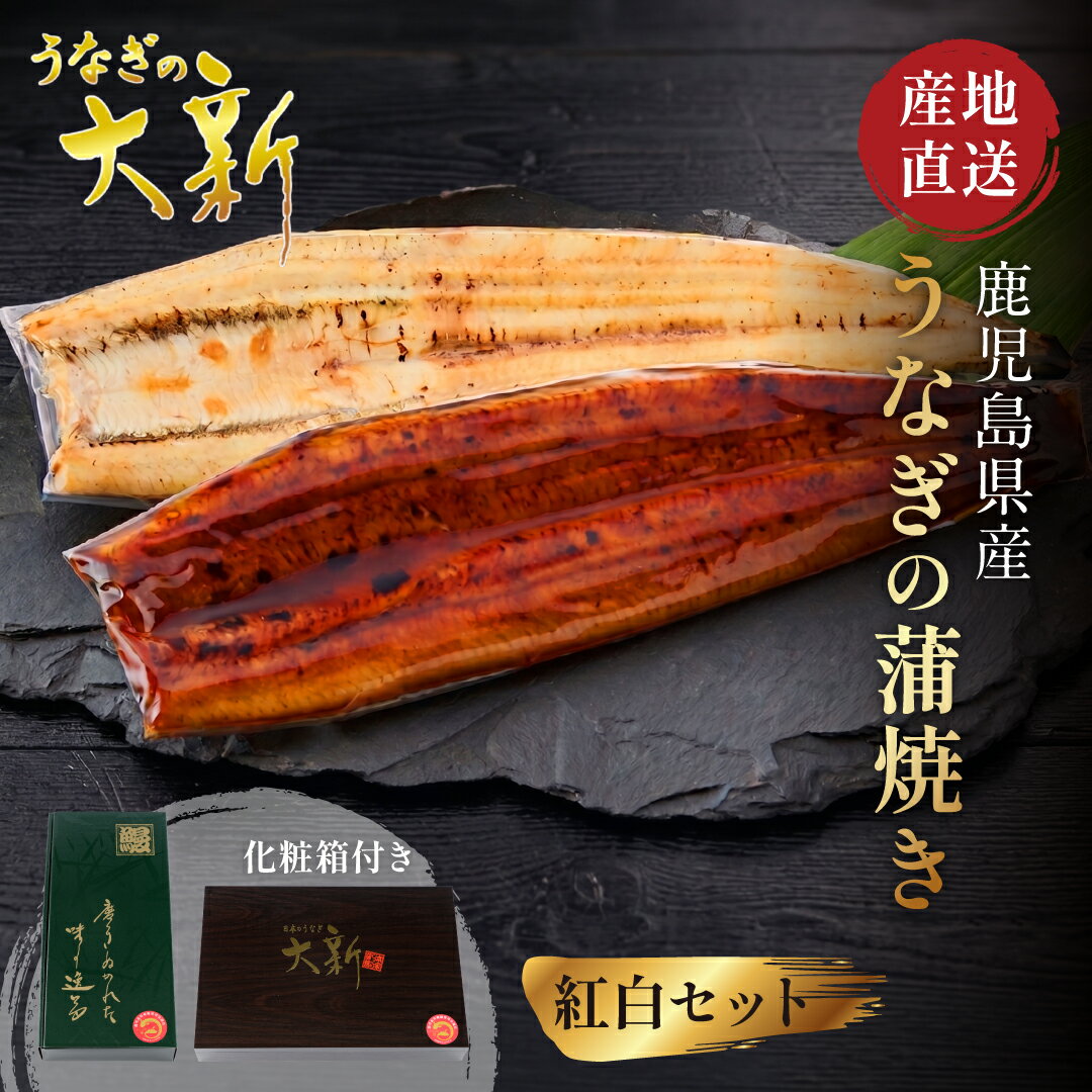 商品仕様 名称 紅白セット 内容量 うなぎ蒲焼（約160g）×1尾・うなぎ白焼（約140g）×1尾・山椒付き小袋たれ×1個 産地名 鹿児島産 保存方法 -15℃以下で保存（要冷凍） 賞味期限 製造日から90日 栄養成分 〇うなぎ蒲焼(100...