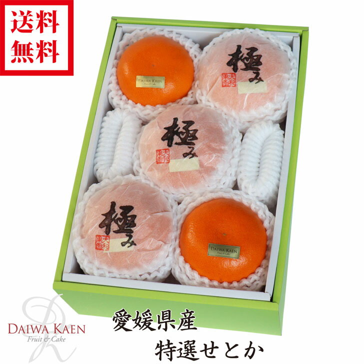商品情報名称せとか5個入り産地名・品種愛媛産内容量約290g×5個保存方法冷蔵庫（野菜室）で保管し、お召し上がりください。配送方法【送料無料】ヤマト運輸にて配送いたします。送料無料 愛媛産 せとか 大玉 高級 化粧箱 フルーツ 果物 ギフト...