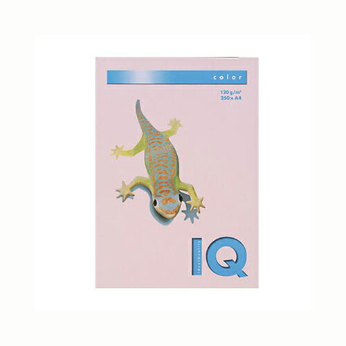 ●坪量：120g／m2●四六判換算：103．2kg●紙厚：0．159mm★★★レビュープレゼント実施中★★★ 「商品レビュー」と「ストアレビュー」両方をご記入いただいたお客様に、 スリッピ1本（国産歯ブラシ）プレゼントさせていただいております！