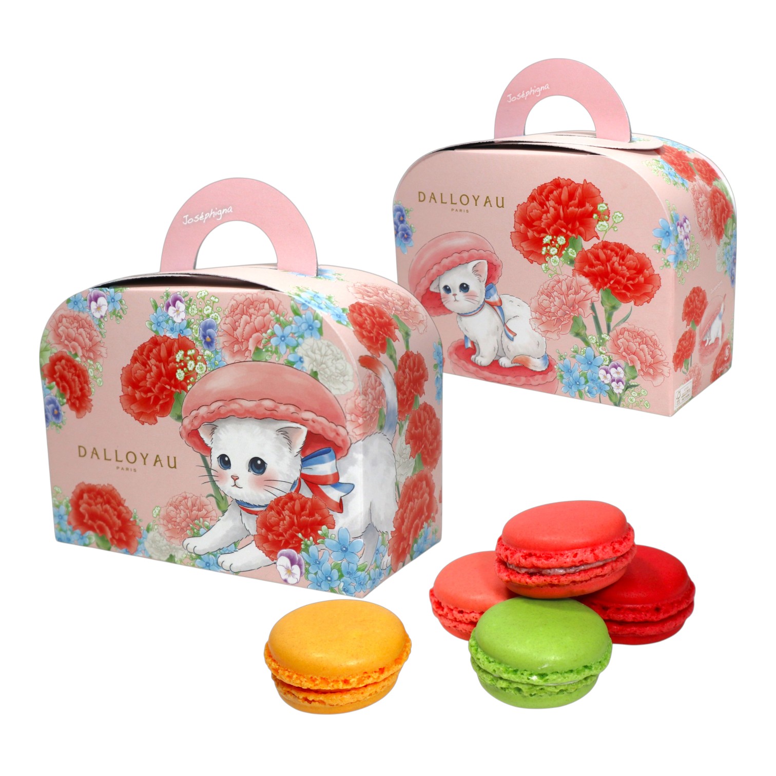 こちらの商品は期間限定商品です。 お届け期間の指定がある商品を複数ご注文のお客様は商品が揃い次第、発送させていただきます。 この商品のお支払方法、送料の詳細に関しては、こちらをご覧ください 名称ニャカロン詰め合わせ（5個入）母の日 賞味期限...
