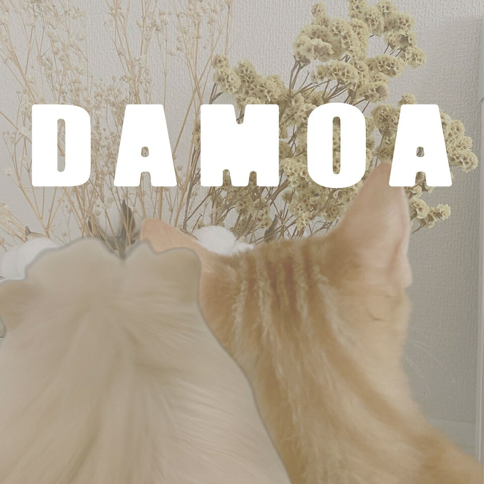 楽天市場 | 雑貨屋DAMOA楽天市場店 - 文房具や生活雑貨、トレカ、フィギュアを豊富に扱っております。