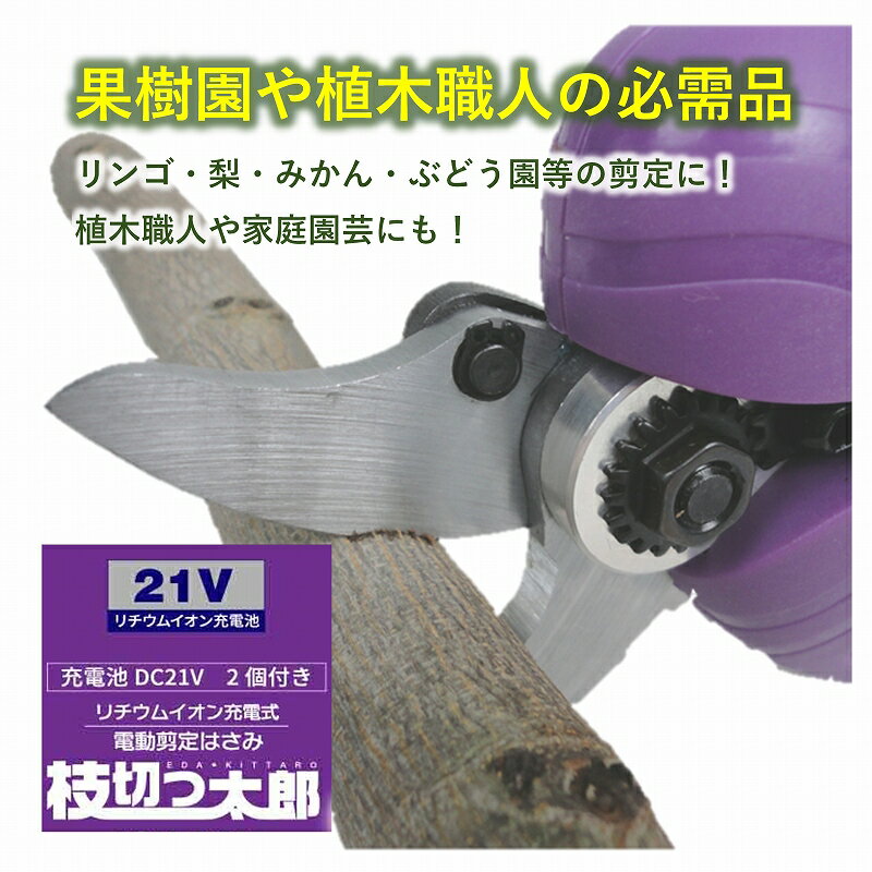 りんご・梨・みかん・ブドウ園等の剪定に！ 植木職人や家庭園芸にも！ 電動開閉、力要らずでスパッと切れる！ 長時間の作業がラクラク。 ●商品仕様 ・電圧：　DC21V ・質量：　1.2kg（電池装着時） ・充電池：　DC21V　2Ah ・充電...