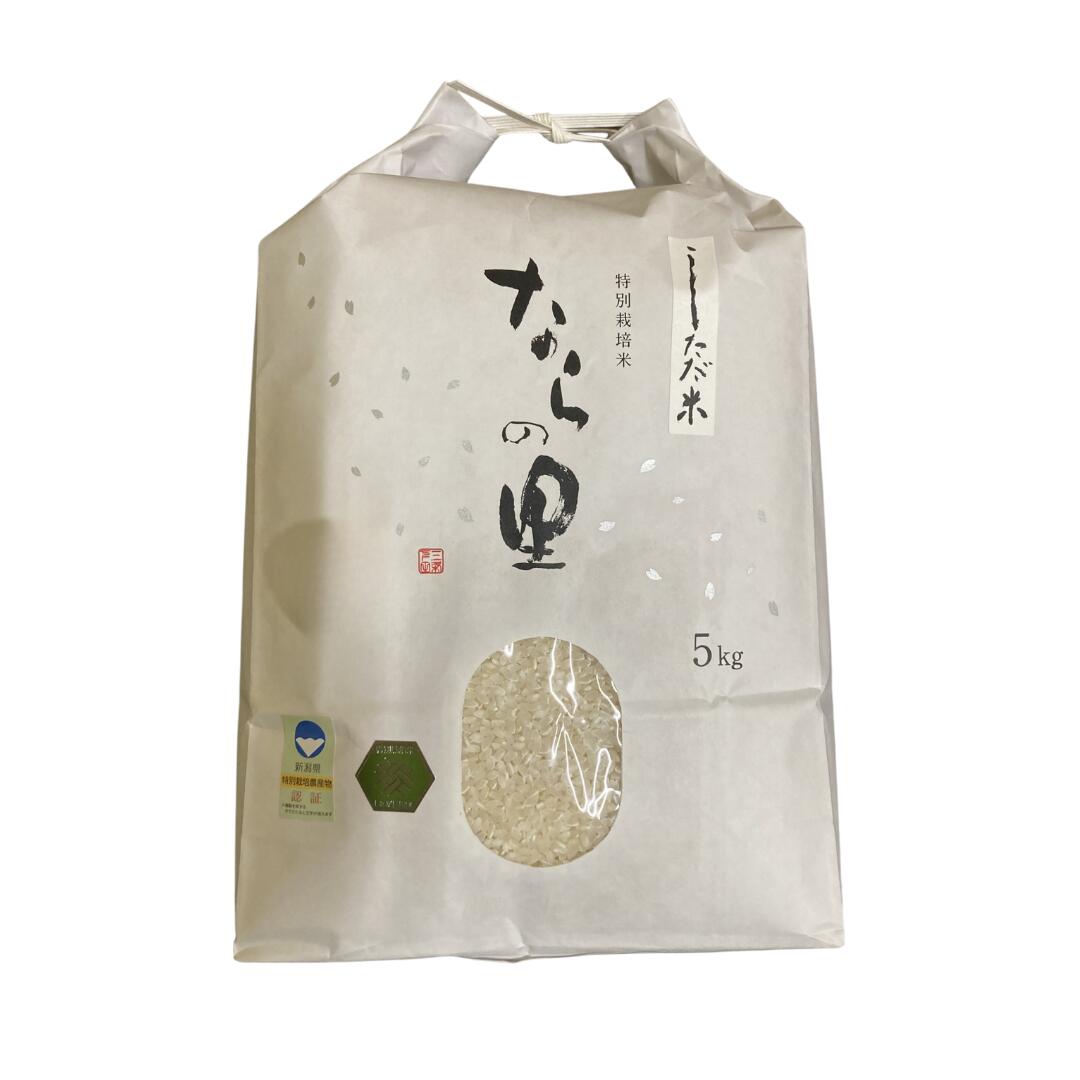 精米 新潟県産 コシヒカリ 5kg 米 コメ 令和6年産 【特徴】味・つや・香りともに優れ、コストパフォーマンスが高いお米です 5