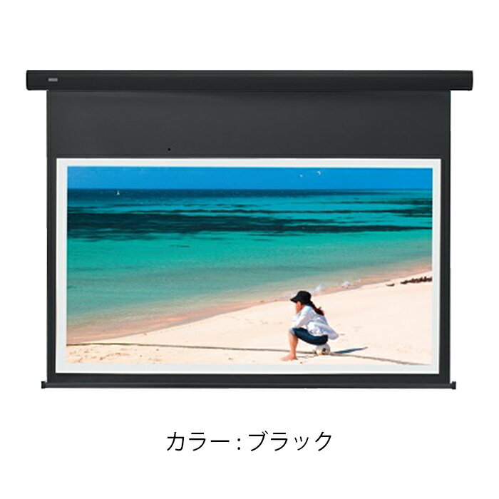 ・シーンや好みによって、タイプの異なる高精細生地を選択可能。 ・付属のセッティングブラケットによって取り付けも簡単。 ・取り付け後、セッティングブラケットが見えない洗練されたフォルム。 ・赤外線ワイヤレスリモコンを標準装備 ・動作時の消費電...