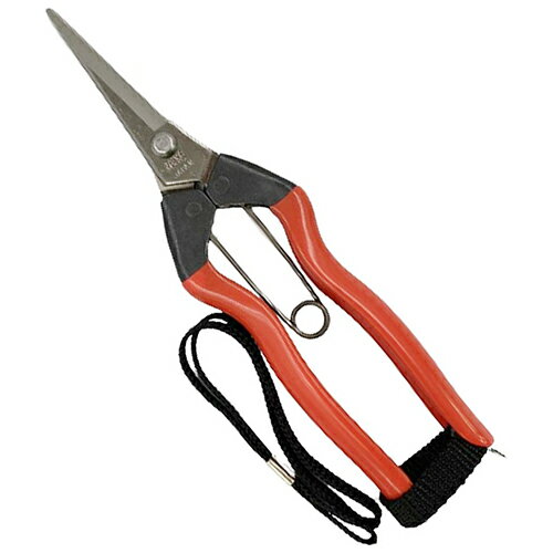 切れ味を追求した果樹・庭園などでご使用いただけるステンレス刃の摘果鋏です。 ●【用途】芽切り・収穫作業。 ●【機能・特長】ステンレスの刃は錆びにくく、渋などが付着した場合も中性洗剤で洗えば落としやすいのでお手入れが簡単に出来ます。切断能力目...
