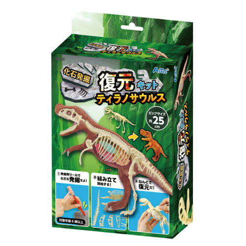 発掘用ツールで化石を発掘してティラノサウルスの骨格を組み立てよう!。ねんどを使ってティラノサウルスを復元しよう!。 パッケージサイズ:60×155×254mm。重量:460g。材質:PVC、石膏、PP、樹脂中空体パルプなど。セット内容:化石...