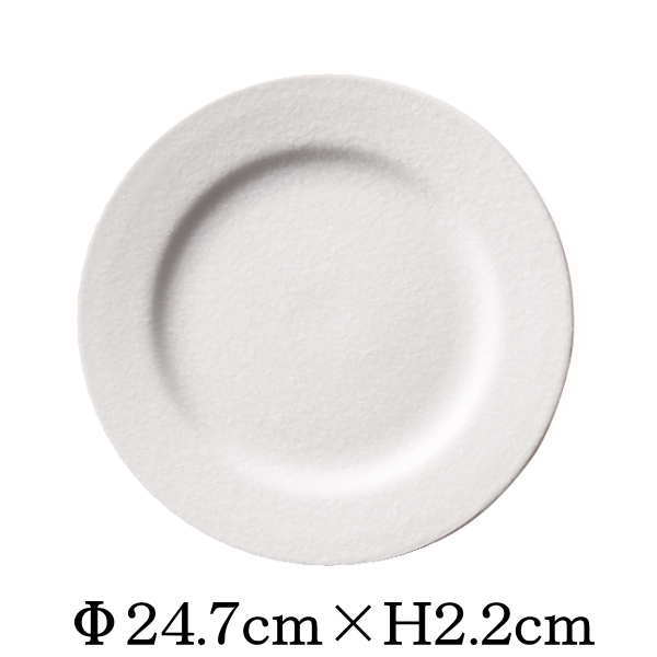 【サイズ】 φ24.7cm×H2.2cm　窪み部分の内径15.7cm 【カラー】 白/ホワイト 【素材】 磁器 【取り扱い】 電子レンジ○、食洗機○、直火×、オーブン× 【用途】 焼き物、揚げ物、てんぷら、刺身、八寸、パスタ皿、メイン料理、...