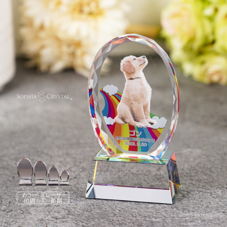 ウェルカム記念・お誕生日・その他記念に心に残るペットメモリアルをお作りしませんか？ ペットという枠を越えて“家族”として暮らしているという方々も多くいます。 これから飼いはじめるご家族、すでに飼っているご家族の方々。思い出作りのお手伝いをさ...