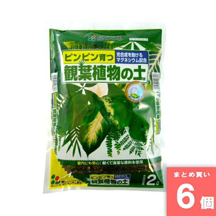 離島・沖縄の送料については、ご利用ガイドの [決済・配送・返品] をご確認ください。 [取寄10]取寄商品、在庫と納期をご注文後確認いたします。出荷目安：6～10日(土・日・祝日 除く) こちらの商品は「取寄商品」となります。 ご着金及び決...