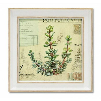 カナダ女性作家であるアンジェラ スターリングの絵と、額がセットになった商品です。絵の表面を特殊な透明ゲルを使って凹凸加工を施し、油絵のような質感を出しています。100%アクリル製の材質で、優れた柔軟性と耐水性があります。紫外線にも強く、油絵...