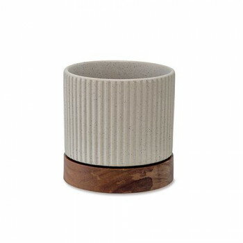 ぴったり整ったフォルムと、異素材の組合せが魅力的なタイディポットです。清潔感があり、ほんのり優しい印象で植物やお部屋を彩ります。※製造上サイズや重量、風合いに個体差がございます。※色味の違いや色むらが出てしまう場合がございます。※底穴のサイ...