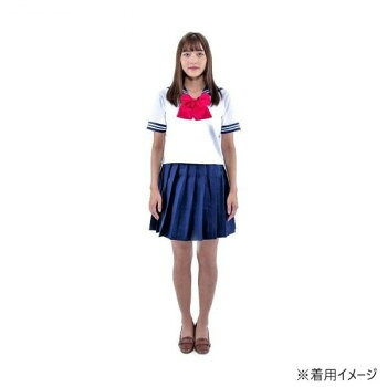 コスプレの定番と言えばセーラー服。セーラー服を着たことない人は試してみてはどうでしょう。懐かしい女学生に戻れるアイテムです。※セット内容をご確認の上ご購入ください。セット内容以外は含まれません。※洗濯はできません。※モニター発色の具合により...