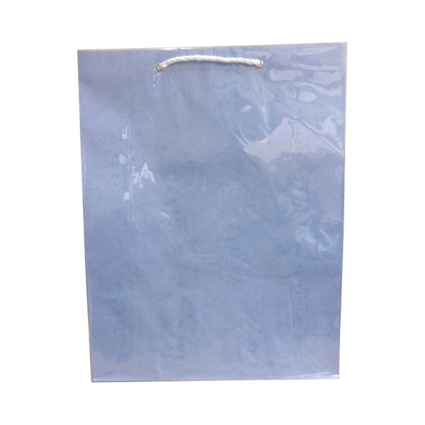 ■商品内容【ご注意事項】この商品は下記内容×5セットでお届けします。ビニールカバー付きで水や汚れに強い丈夫な手提袋です。■商品スペック●外形寸法（幅）[mm]：430●外形寸法（高）[mm]：560●外形寸法（マチ）[mm]：160●底板：...