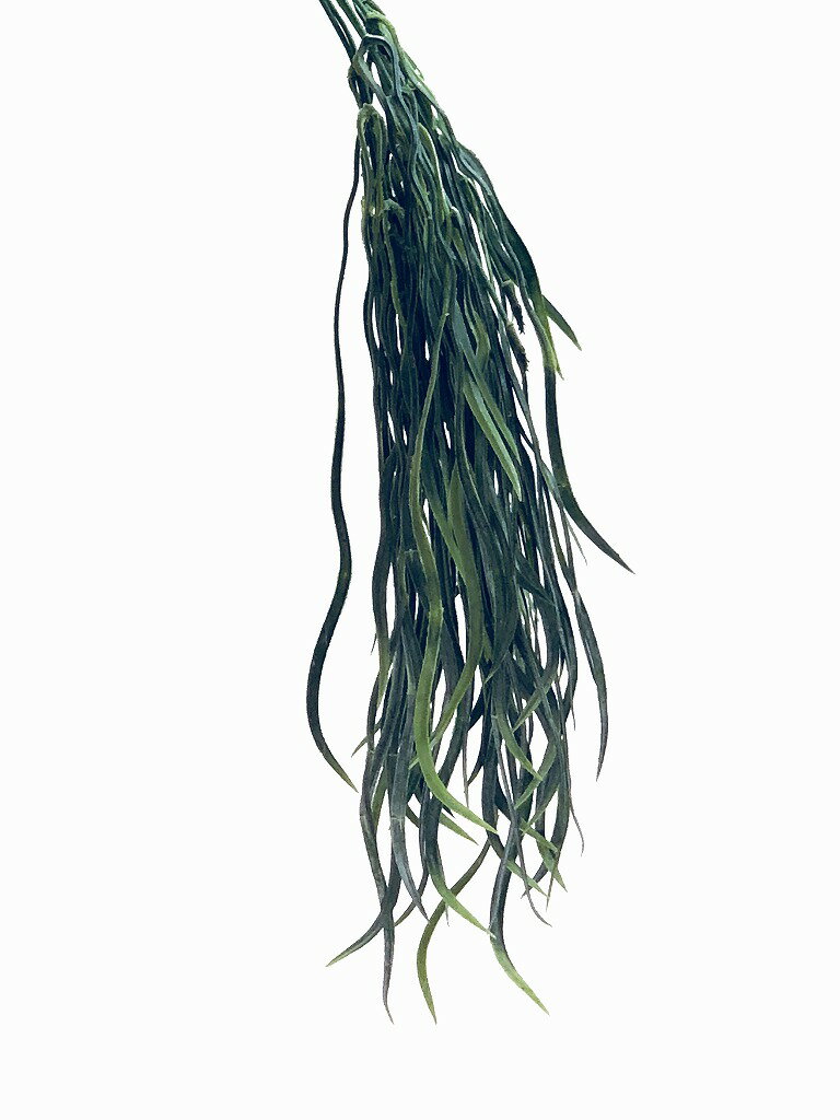 リング差込用造花 隙間を埋める素材。叢状でふんわりとした演出が可能です。リング差込固定以外の取り付けも出来ます。