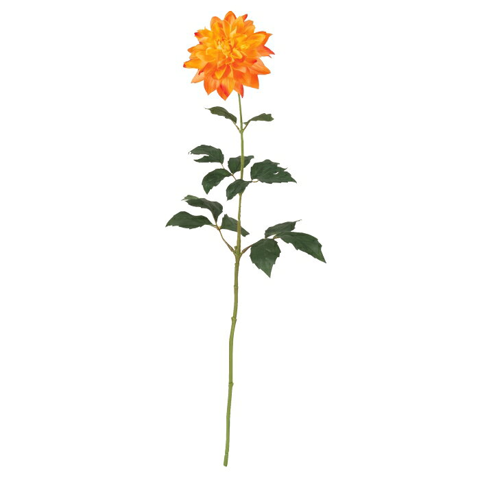 光触媒加工でこっそり・しっかり消臭・除菌全長72cm 花径16cm リーフ10から13cm主な素材：ポリエステル存在感あふれるダリア！鮮やかな色や印象強いダークな色まで、多彩な花びらをもち人気です。アレンジメントや花束によく用いられます。お...