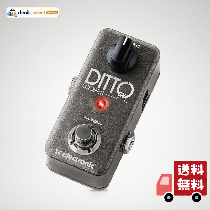 Ditto Looperは、ギタリスト用にデザインされています。ギター本来のトーンを損なわないことで、単なる飛び道具ではなく、自分のサウンドの一部としてルーピングを活用できます。 Ditto Looper はスイッチ一つでルーパーの基本的な...
