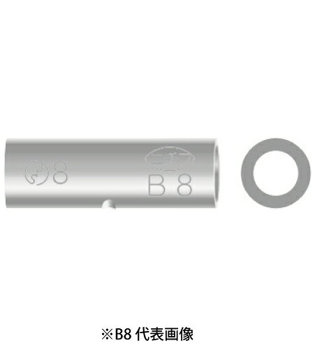 B8