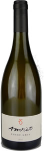 アムリット・ピノグリ・オン・スキン　2019　アヴァ二 手摘みで収穫されたピノグリを全房100%で、ステンレスタンクにて4週間かけて野生酵母による自然発酵。5月12日にプレスをかけて、果汁はバケツを用いて5年経過したフレンチオーク樽に移す。...