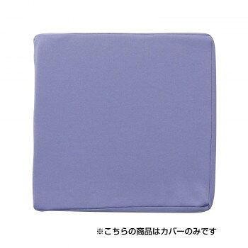 こちらの商品はクッションカバーのみの販売です。こちらの商品は(洗える低反発傾斜クッション(すべり止め付き))専用の替えカバーです。サイズ約40×40cm個装サイズ：40×40×7cm重量個装重量：930g素材・材質側地:カバー表側:ポリエス...
