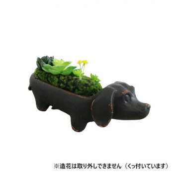 リビング・玄関・机の上・洗面所など、一つ置くだけでとても素敵な雰囲気を演出してくれます。ギフト、ノベルティーにも最適。※造花は取り外しできません(くっ付いています)。※ビス、釘、ピンなど、壁に取り付ける為の部材は付属しておりません。お近くの...