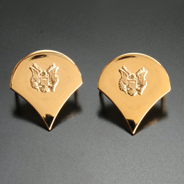 ピンバッジ 徽章 ロスコロスコの米軍階級章ピンバッジ。米軍陸軍 技術兵(スペシャリスト)の階級章の2個セットです。ピンバッジの詳細カラー ブラックサイズ 縦 約23mmx横 約21mm重量 約5g(1個あたり)【Rothco ピンバッジ 米...