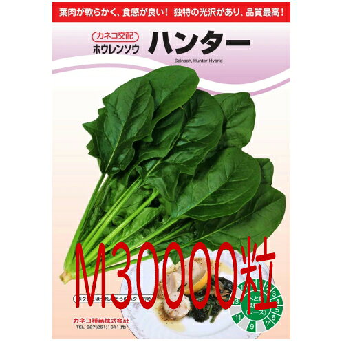※時期によっては出荷までにお時間を頂く場合がございます。又、季節もの、流動的な商品の為品切れの場合もございますので申し訳ございませんがその場合キャンセルさせていただきます。 ※メーカー出荷準備が整い次第、直送になりますので予めご了承ください...