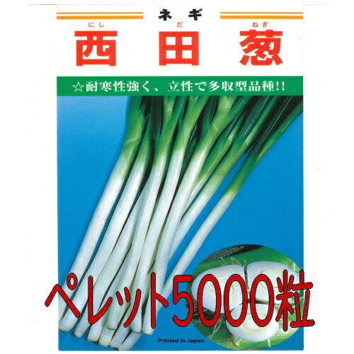 ※時期によっては出荷までにお時間を頂く場合がございます。又、季節もの、流動的な商品の為品切れの場合もございますので申し訳ございませんがその場合キャンセルさせていただきます。 ※場合によってはメーカー直送になることもございますので予めご了承く...