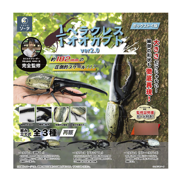 発売予定日発売中！メーカーSO-TA (ソータ)登場作品---商品詳細カリスマブリーダー“HirokA(河野博史)”氏が完全監修したヘラクレスオオカブトが1/1スケールで再登場！全長約182mmの圧倒的な大きさだけでなく、胸角の毛並みから脚...