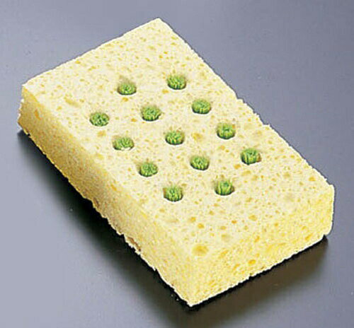 色グリーン幅×奥行×高さ(mm)120×70×30UCEL HYGIENIC FUSEDWAREトゥーセル ブラシも色分け・使い分け!―HACCP対応―材質:ポリプロピレン※アメリカ製●やわらかいところはスポンジで、こびりついているとこ ろ...