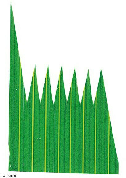 55×37●生バランは黄色の線が等間隔に入っています。