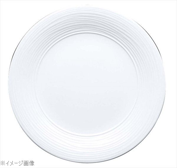 ●アルミクロンチャイナとは、工業用パーツにも使われる強度の高いアルミナと呼ばれる原料を用い、高温で焼成した独自の技術によって開発された強化磁器です。そのため強度,耐熱性に富み、ハードユースな業務用として使用できます。強度だけでなく優れたデザ...