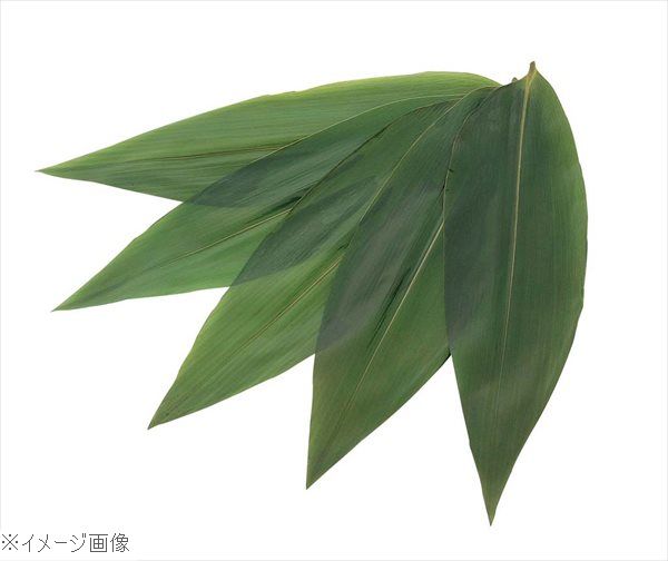 ●天然物につき、サイズが異なる場合がございます。外寸(mm)約70～90×約290