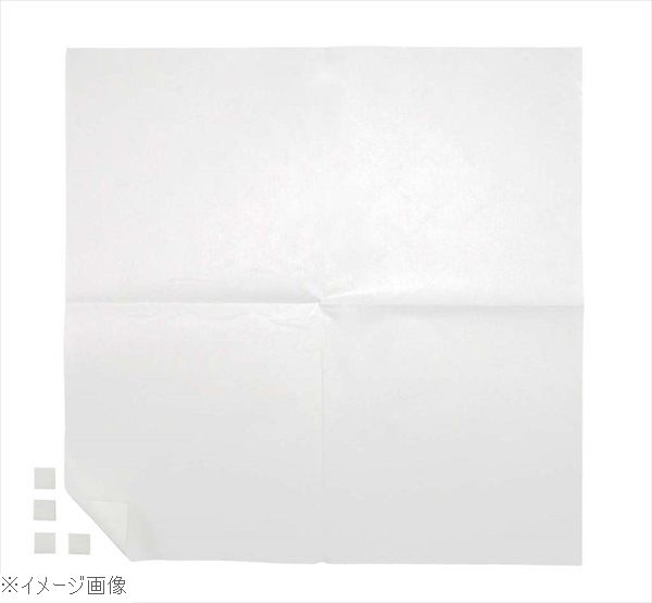 ●エアコン吹出口には取り付けないでください。●ご使用環境により異なりますが、一般の使用による交換の目安は4週間です。●3枚入り外寸(mm)600×600 重量134g