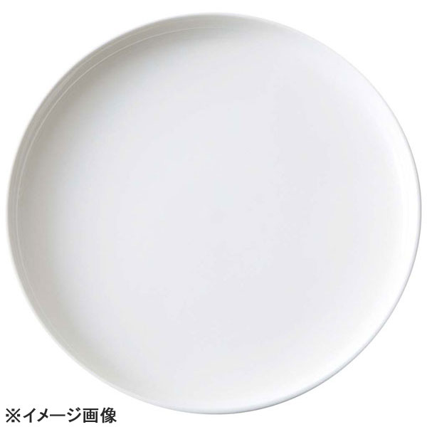 サイズ：外径:210 高さ:24 重量(g)：460 材質：強化磁器 食器乾燥機対応：可 洗浄機：可●スタッキングが出来る便利なプレートで、余分なスペースを取りません。 ●同サイズのプレートに比べ料理を乗せることのできる面積が広い。 ●強化...