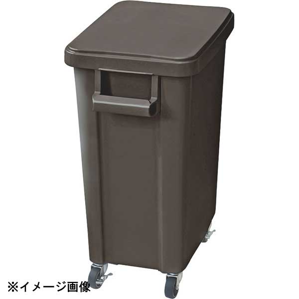 プロの厨房に最適なキャスター付きペール。生ゴミなどの底に溜まった水を排出することが出来ます。●サイズ　外寸縦×横×高さ：305×505×H595mm●材質：本体・フタ：ポリプロピレン　排水栓：ポリエチレン　台座：ポリアセタール　キャスター：...