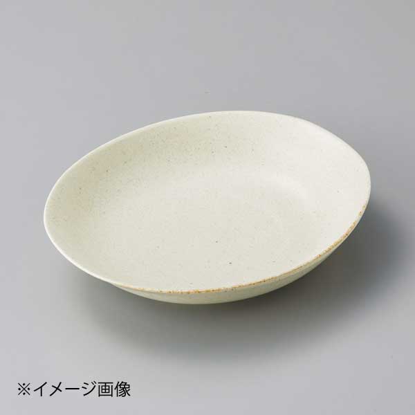 ●サイズ・容量:23.3×19.3×4.5cm●重量:390g●カタログコード:04312-550●サイズ・容量:23.3×19.3×4.5cm●重量:390g●カタログコード:04312-550
