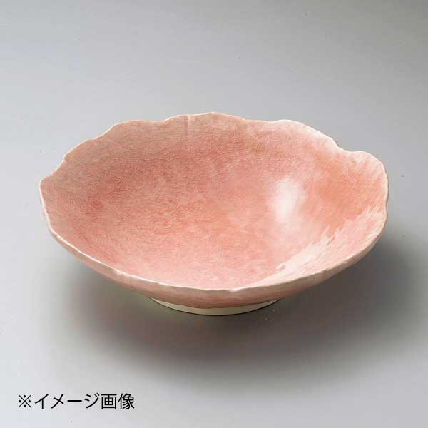 ●サイズ・容量:25.5×6.8cm●重量:810g●カタログコード:01816-570●サイズ・容量:25.5×6.8cm●重量:810g●カタログコード:01816-570