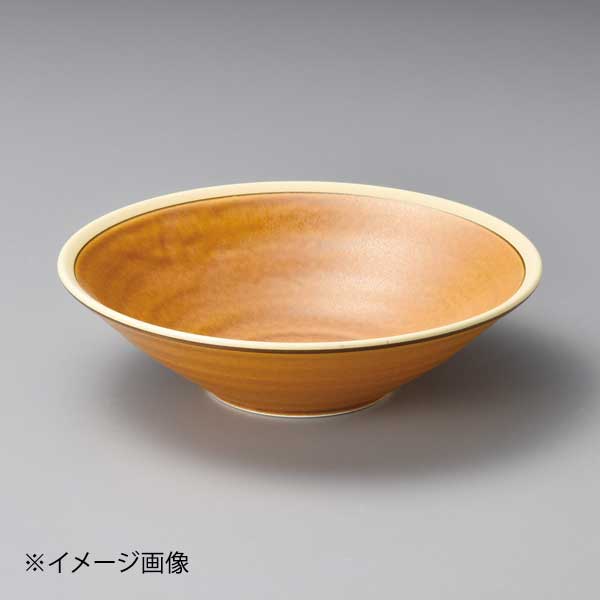 ●サイズ・容量:23.1×6cm●重量:609g●カタログコード:02107-570●サイズ・容量:23.1×6cm●重量:609g●カタログコード:02107-570