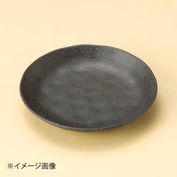 ●サイズ・容量:13.9×2.6cm●重量:180g●カタログコード:22416-290●サイズ・容量:13.9×2.6cm●重量:180g●カタログコード:22416-290