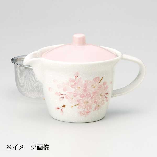 ●サイズ・容量:10.5×16×10cm・300cc●重量:418g●カタログコード:46022-190